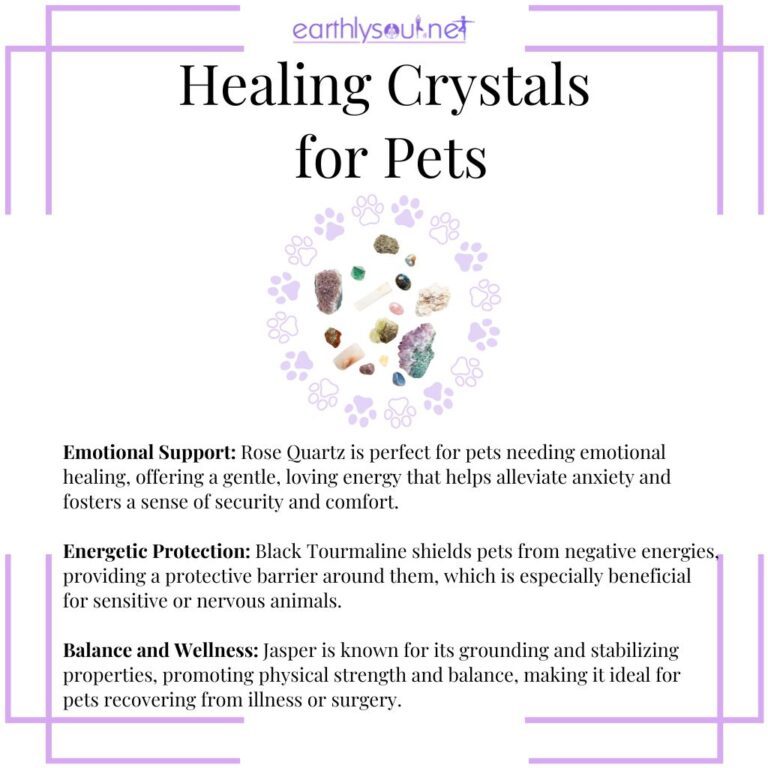 Crystals For Pets: A Comprehensive Guide to Enhancing Your Pet's Well ...