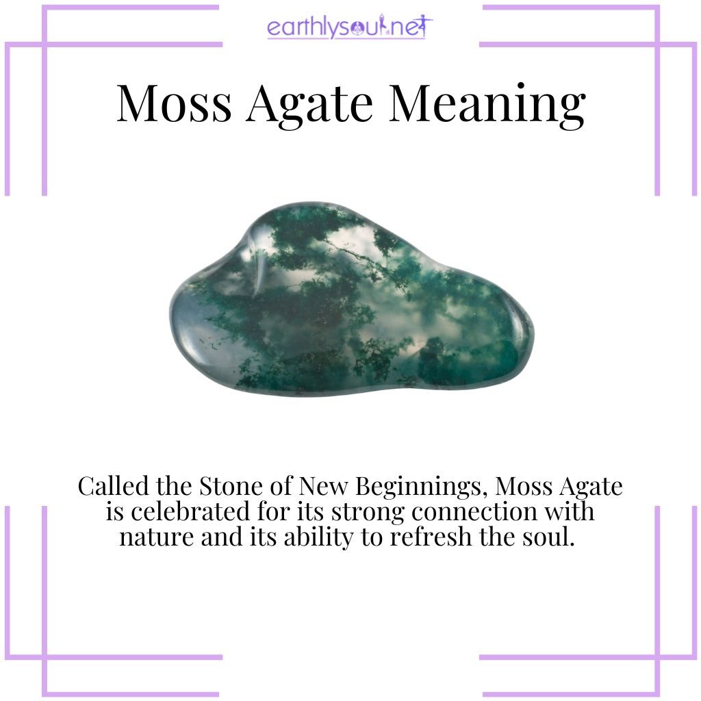 Moss Agate Meaning: Discover the Stone of New Beginnings and Abundance